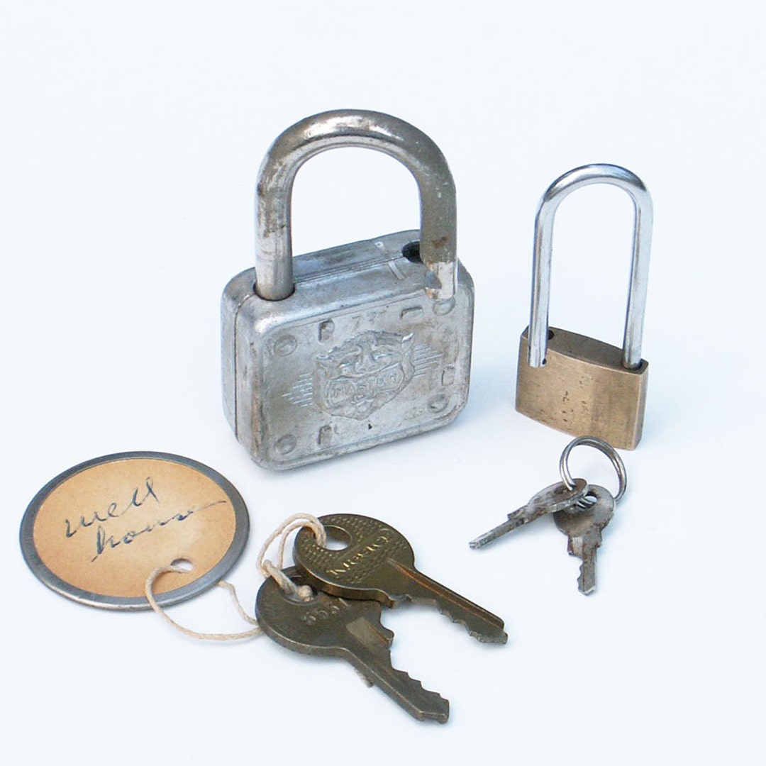Master Lock Lion Head - Etsy