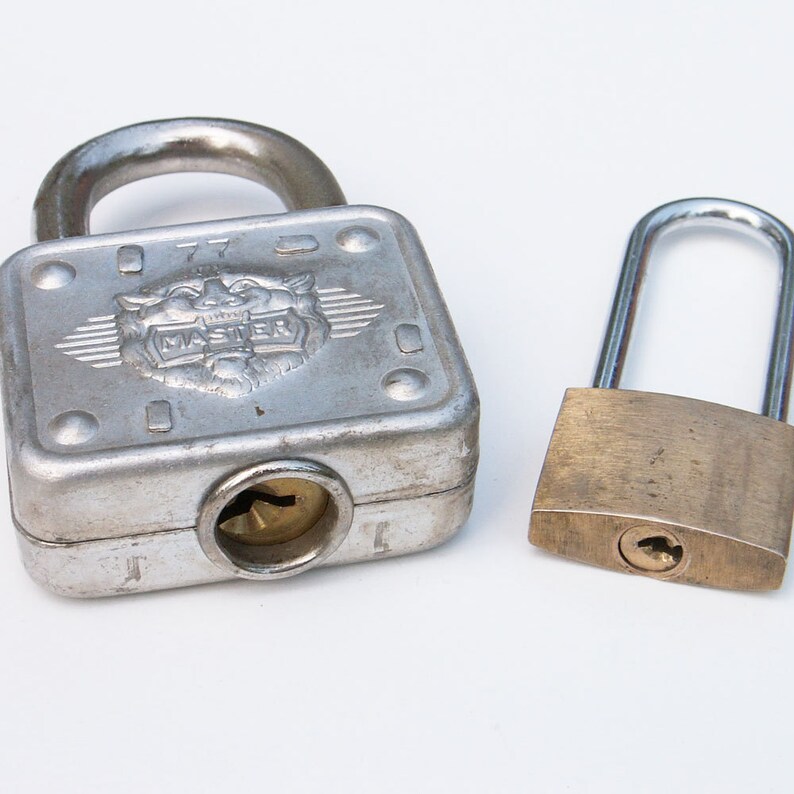 Master Lock Lion Head - Etsy