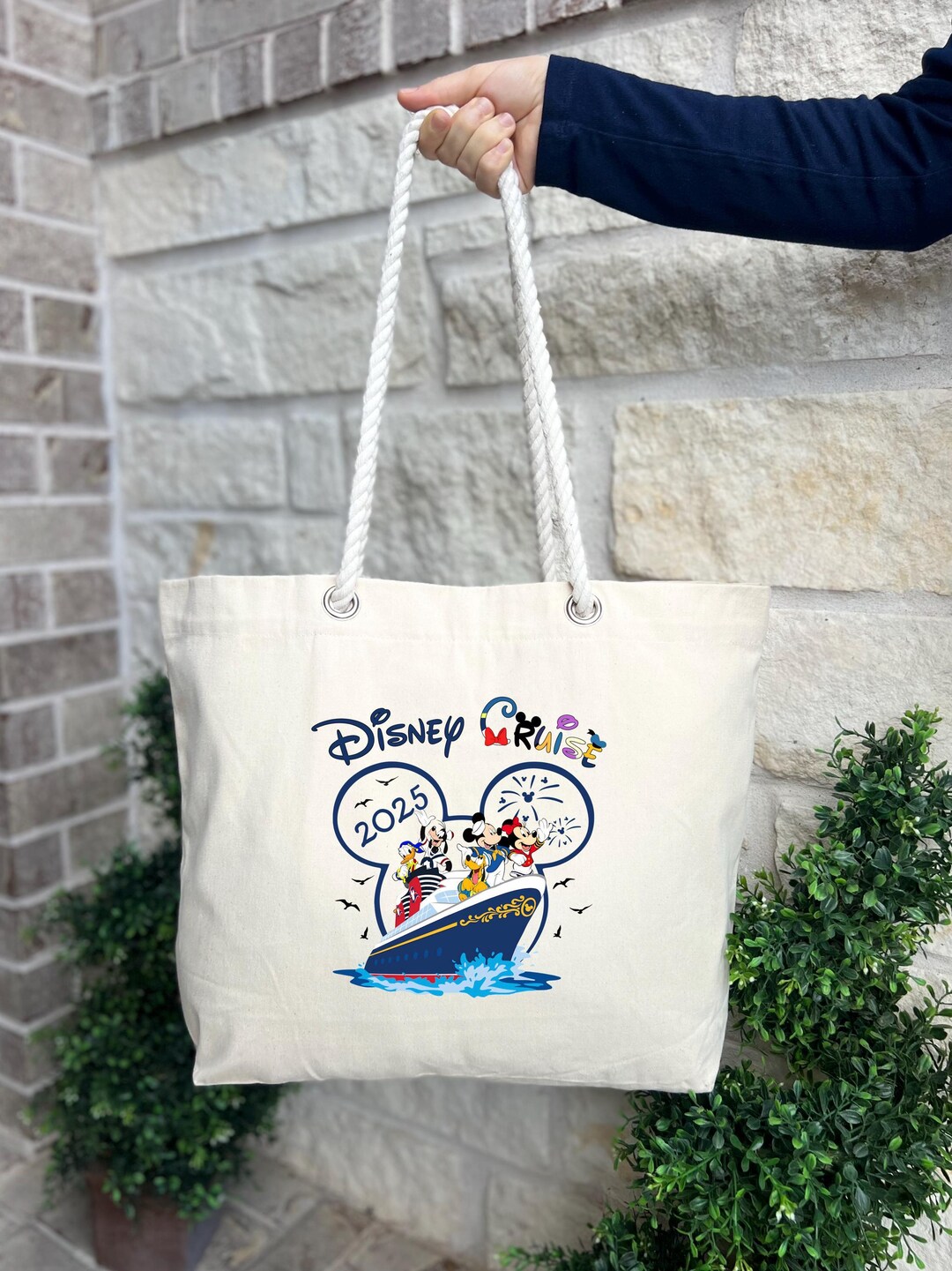 Disney Cruise Group Bags, Family Matching Cruise Totes, Disney Cruise ...