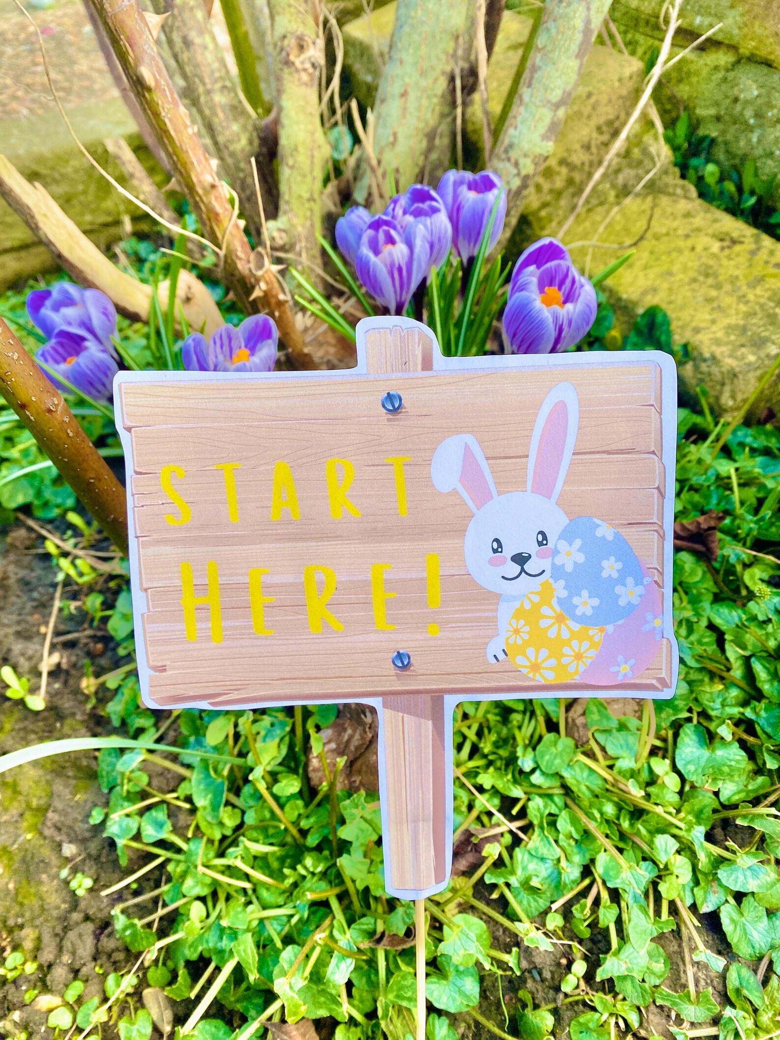 Easter Printable Egg Hunt Signs, Kids Printable Easter Activity, Easter ...