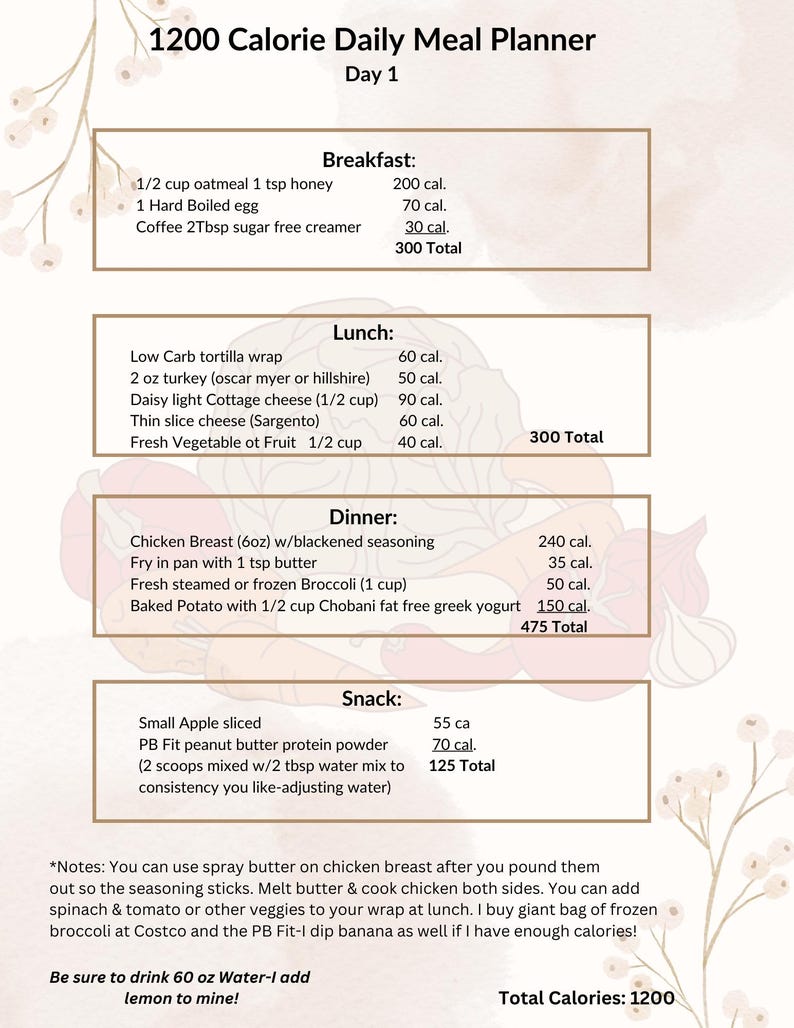 1200 Calorie Daily Meal Plan-printable PDF - Etsy