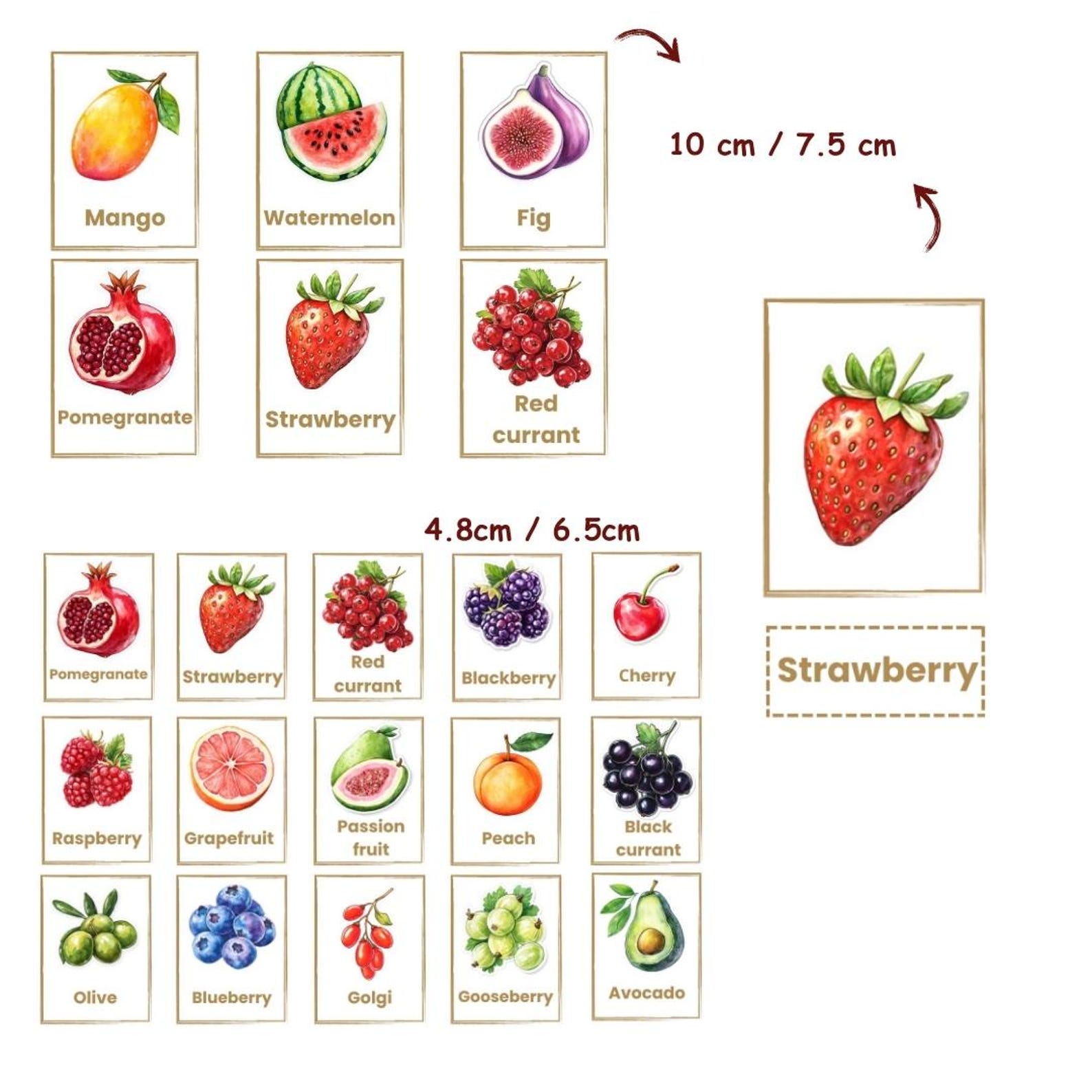 Montessori Flashcards, Fruit and Berries Cards, Preschool Worksheets ...