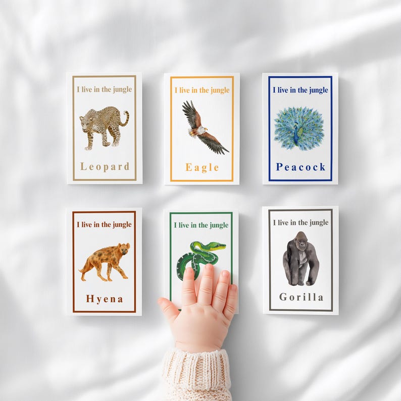 20 Jungle Animal Flash Cards| 5x7” Printable Flashcards | Digital ...