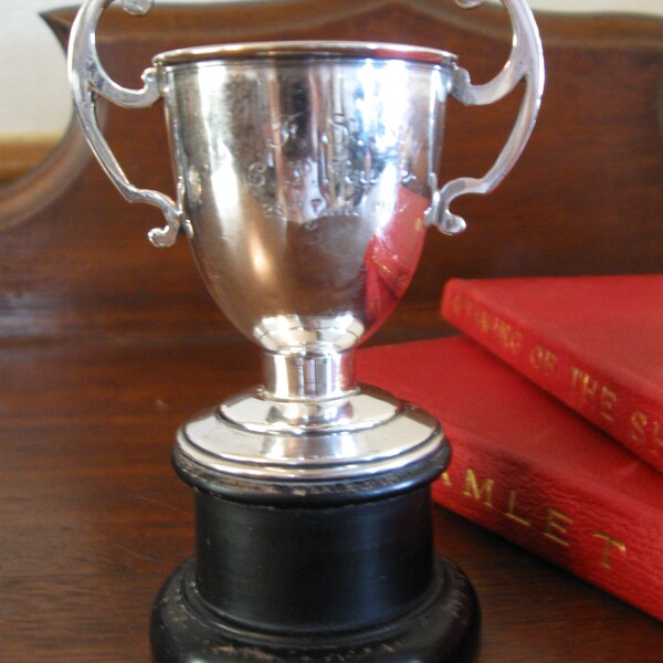 Desk Trophy Display - Etsy