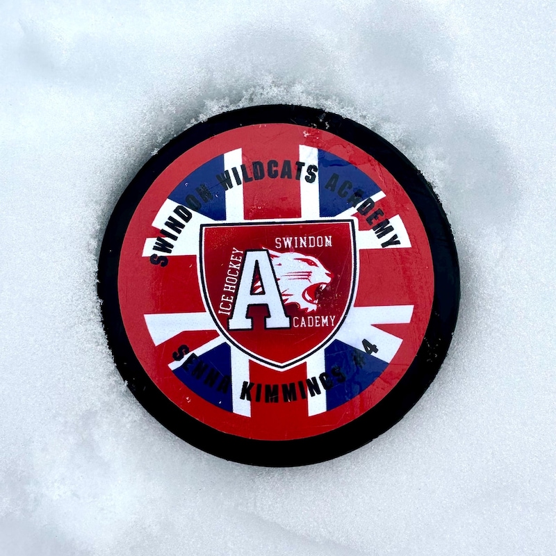 Vinyl Puck Stickers - Etsy UK