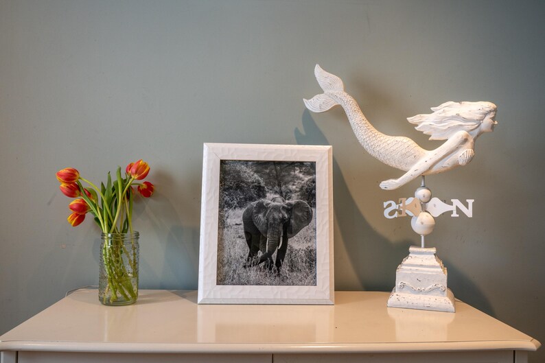 Black and White Elephant Photo - Etsy