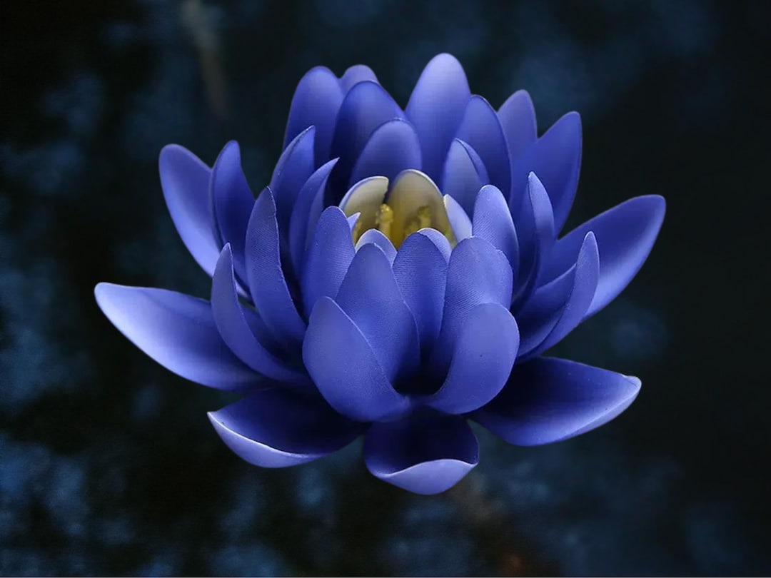 Handmade Egyptian Blue Lotus Flower Incense Stick Holder: Sacred Ritual ...