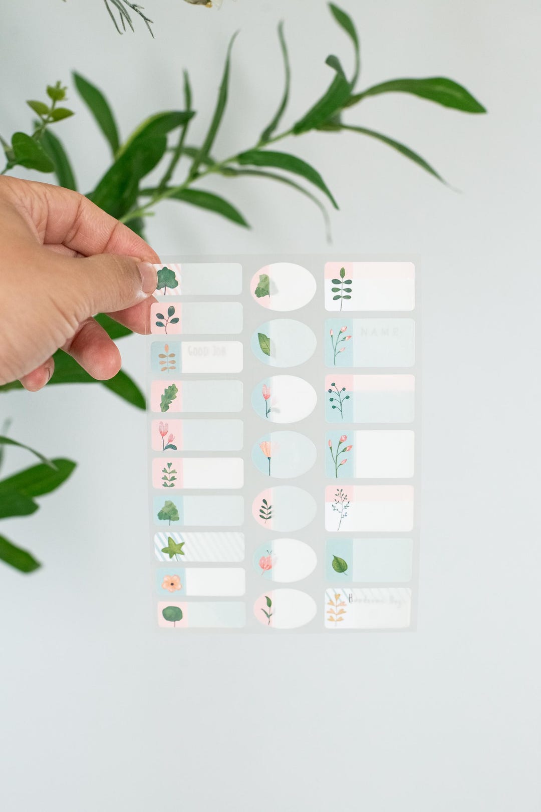 Oil-proof Essential Oil Bottle Labels: Handwritten Aromatherapy ...