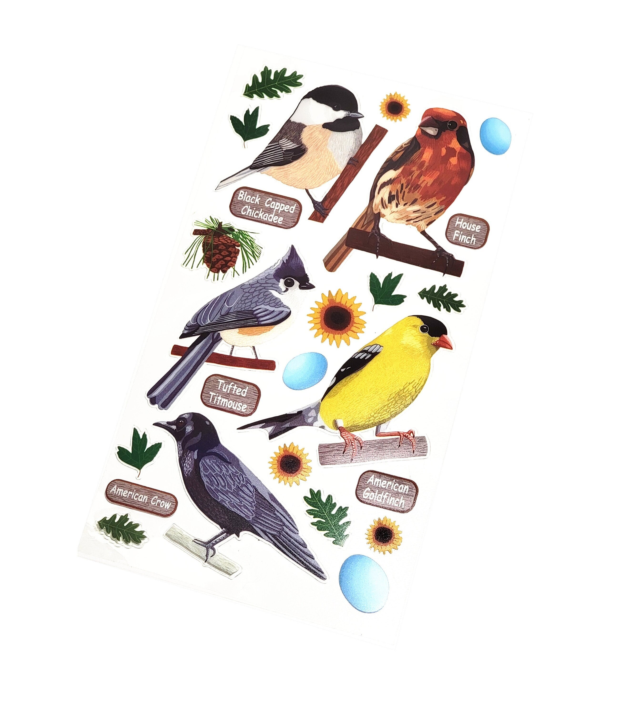 Bird Identification Sticker Set-chickadee House Finch - Etsy