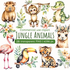 Watercolor Jungle Animals Clipart: Rainforest PNG Images (commercial ...