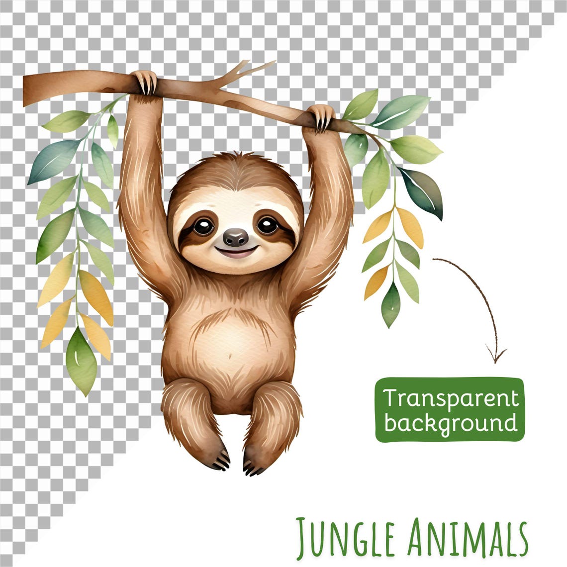 Jungle Animals Clipart | Watercolor Animals | Rainforest Animals PNG ...