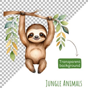 Watercolor Jungle Animals Clipart: Rainforest PNG Images (commercial ...