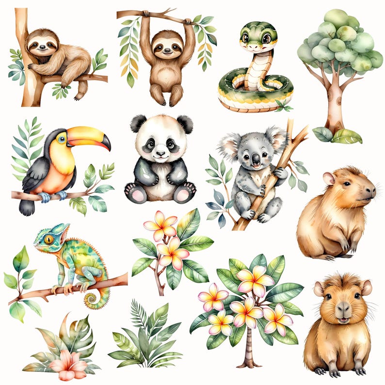 Watercolor Jungle Animals Clipart: Rainforest PNG Images (commercial ...