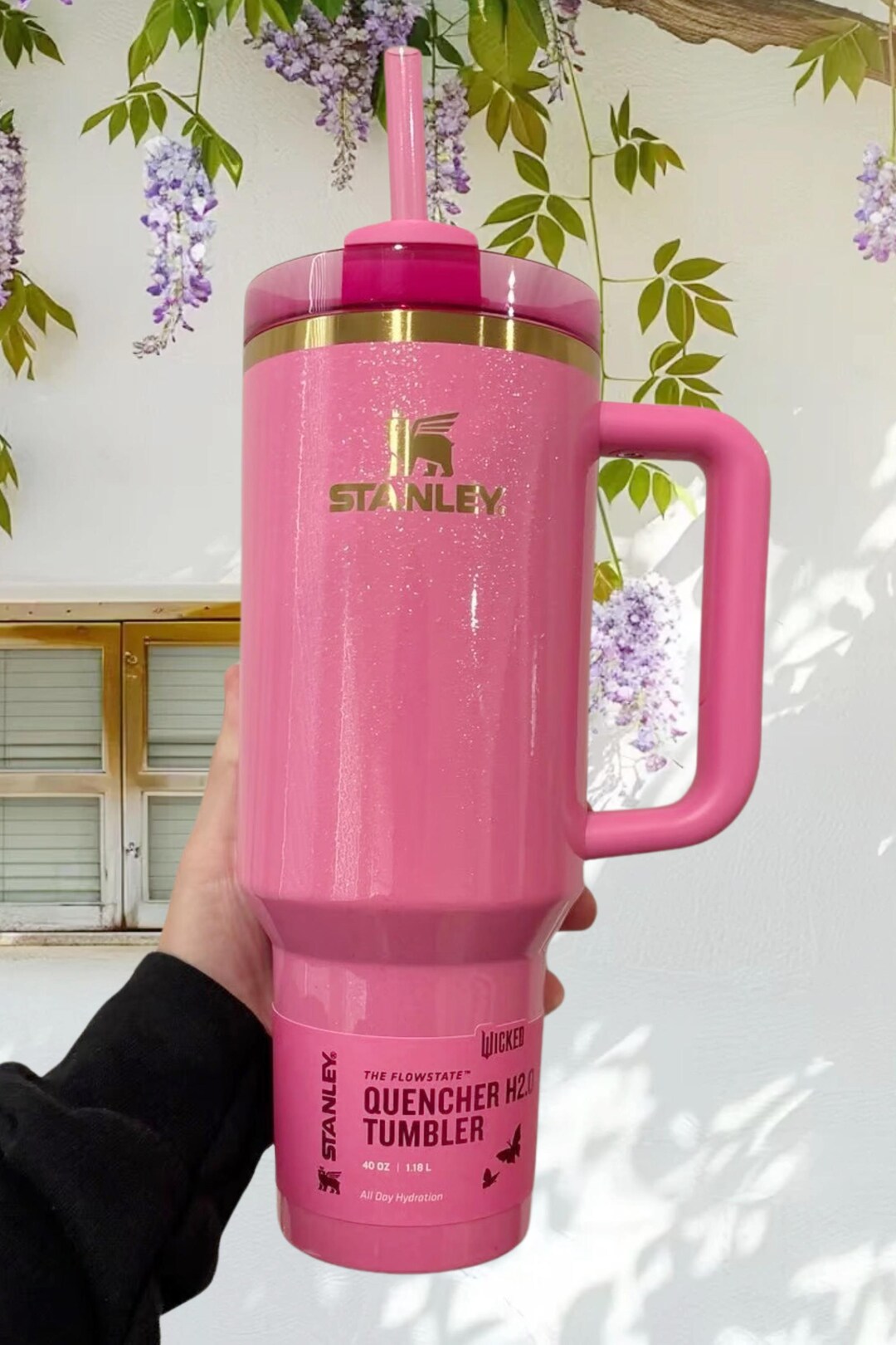 Custom Stanley Pink Elphaba Wicked Tumbler, Personalized 40oz Stanley ...