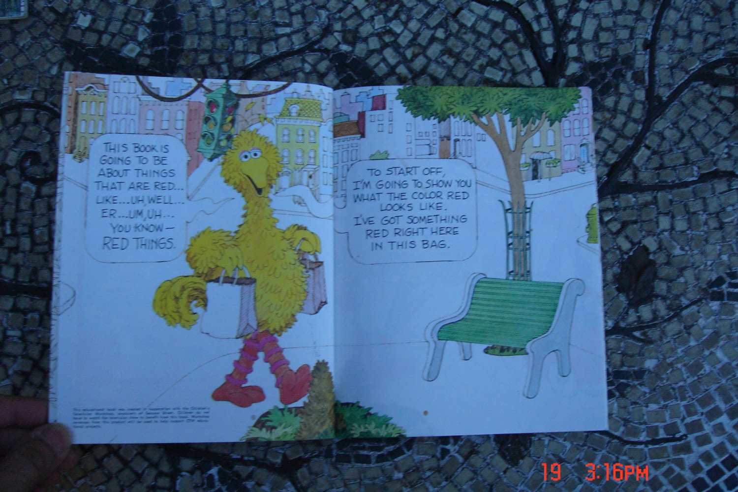 Big Bird Red Book by Rosanne and Jonathan Cerf a Little Golden Book ...
