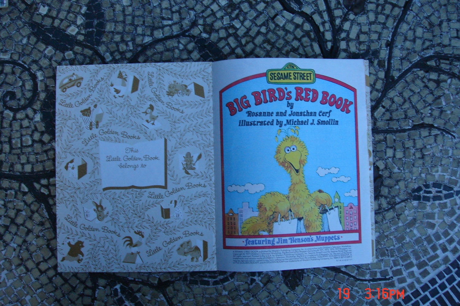 Big Bird Red Book by Rosanne and Jonathan Cerf a Little Golden Book ...