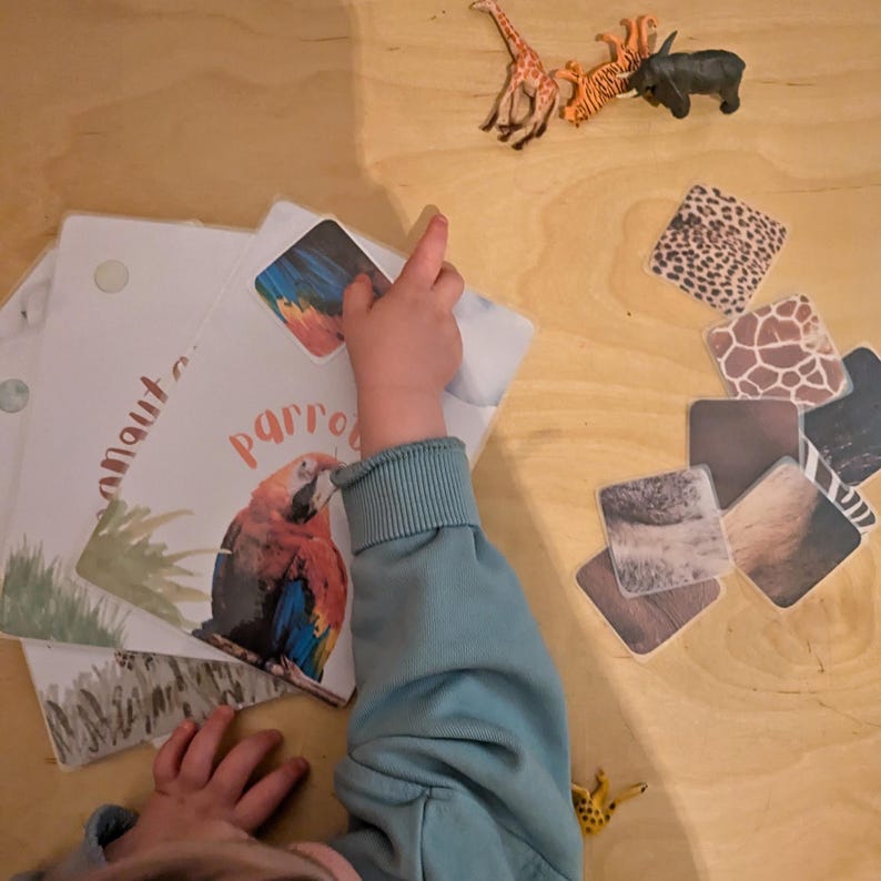 10 Wild Animals Pattern Matching Cards, Jungle Animals Flashcards ...