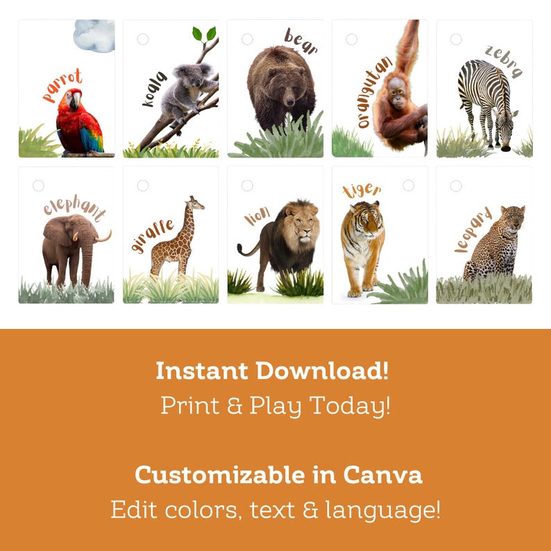 10 Wild Animals Pattern Matching Cards, Jungle Animals Flashcards ...