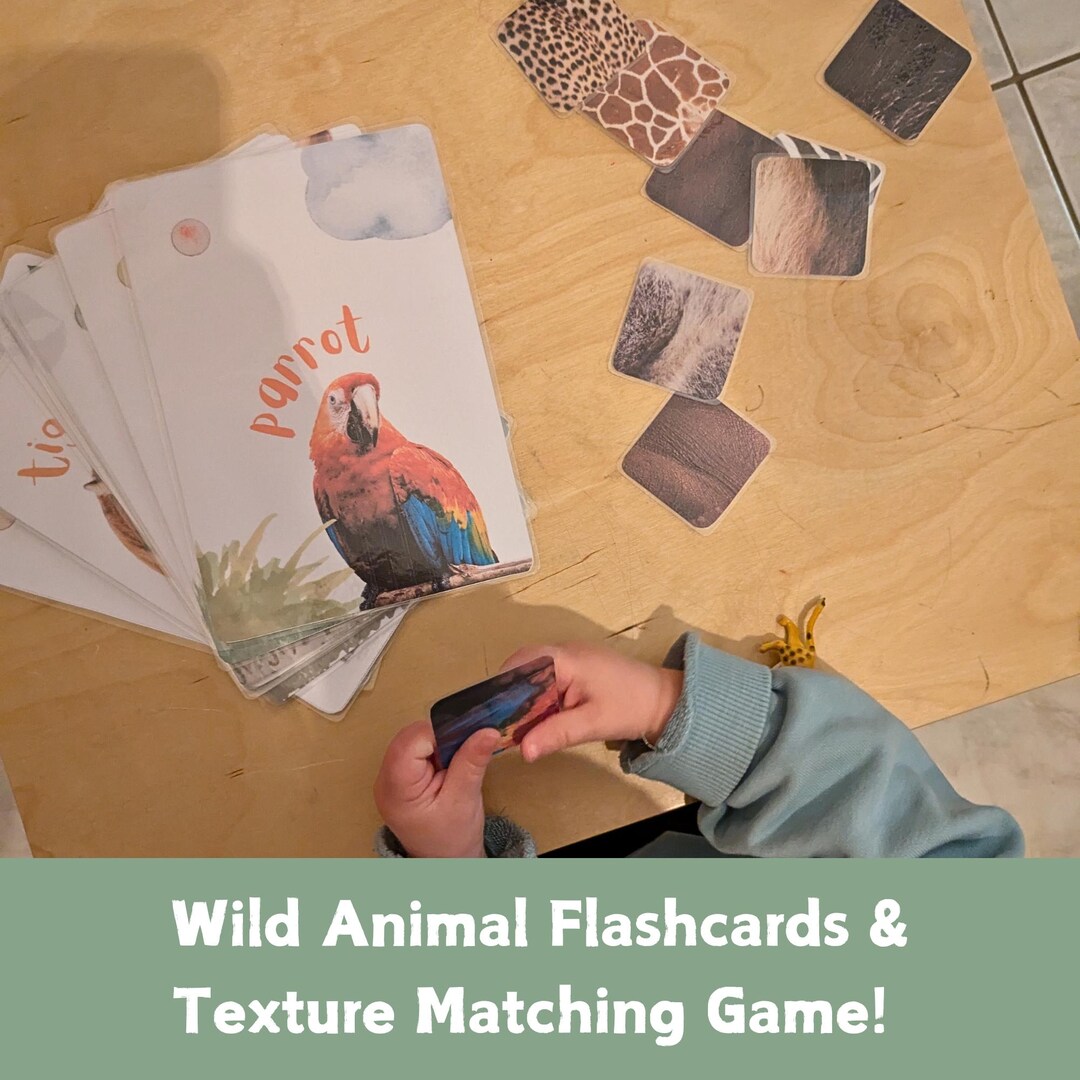 Wild Animals Texture Matching Cards: Montessori Homeschool Activity ...