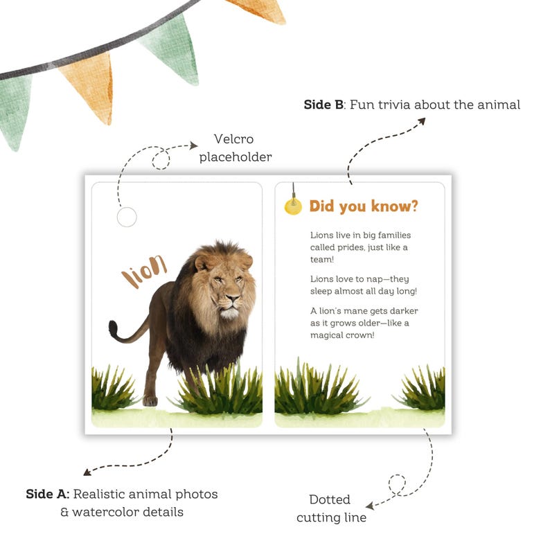 10 Wild Animals Pattern Matching Cards, Jungle Animals Flashcards ...