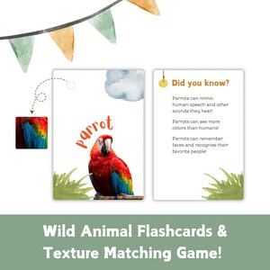 10 Wild Animals Pattern Matching Cards, Jungle Animals Flashcards ...