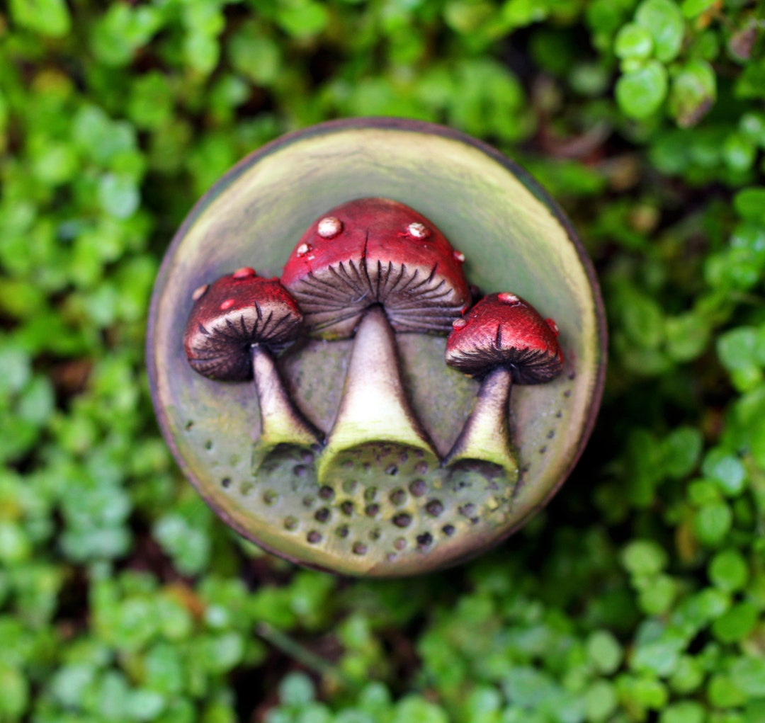 Mushroom Toadstool Fungi Ring Box - Etsy