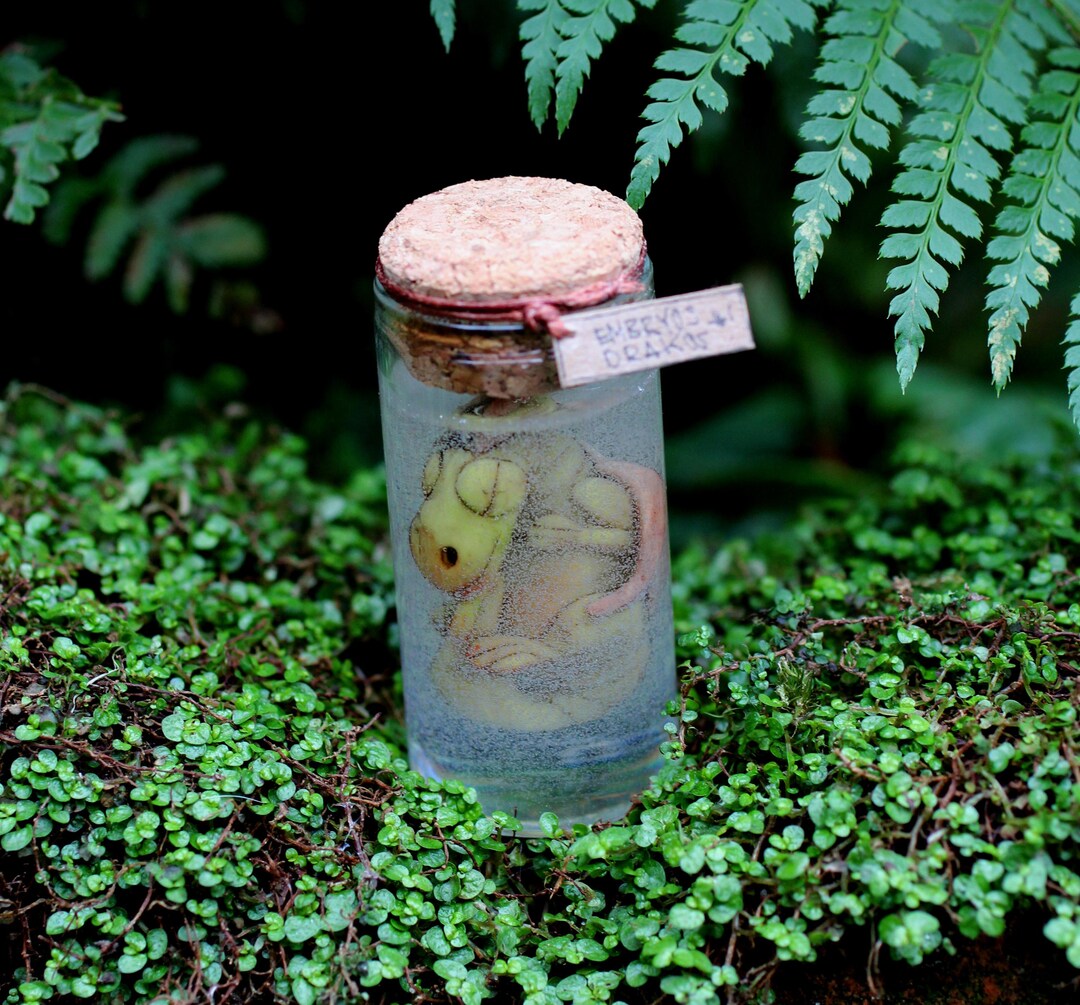 Tiny Clay Dragon Embryo in Bottle (RESERVED) - Etsy