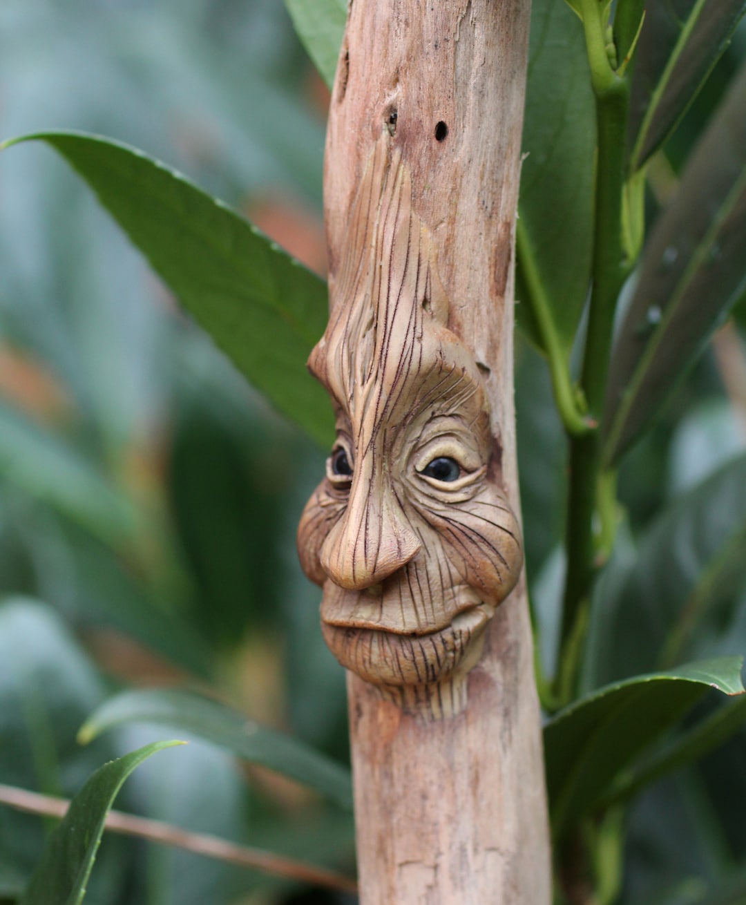 OOAK Wood Carved Face Dryad - Etsy
