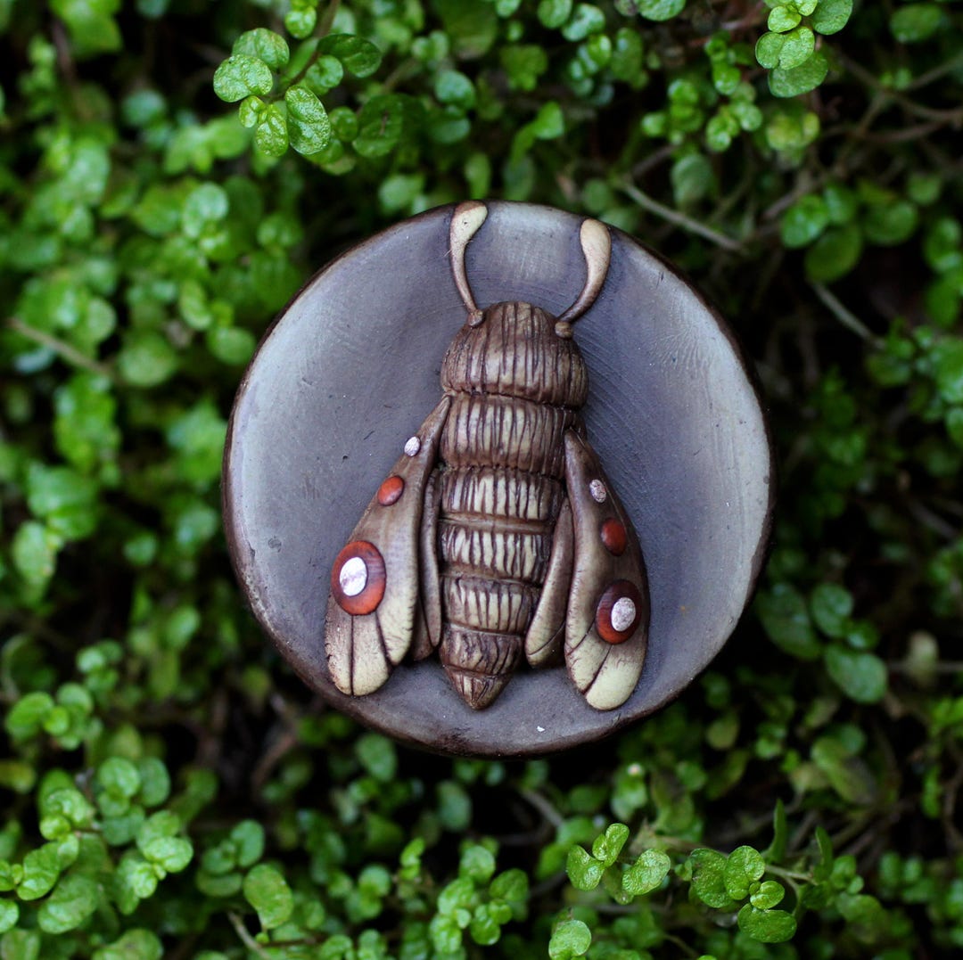 Moth Engagement Ring Stash Box - Etsy