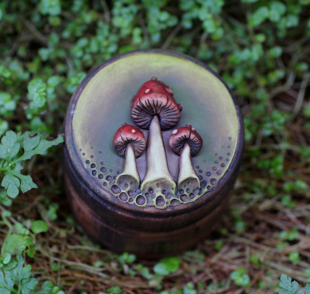 Mushroom Toadstool Fungi Ring Box - Etsy