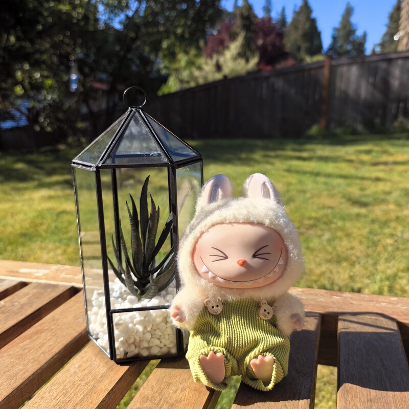 Labubu Costume - Etsy