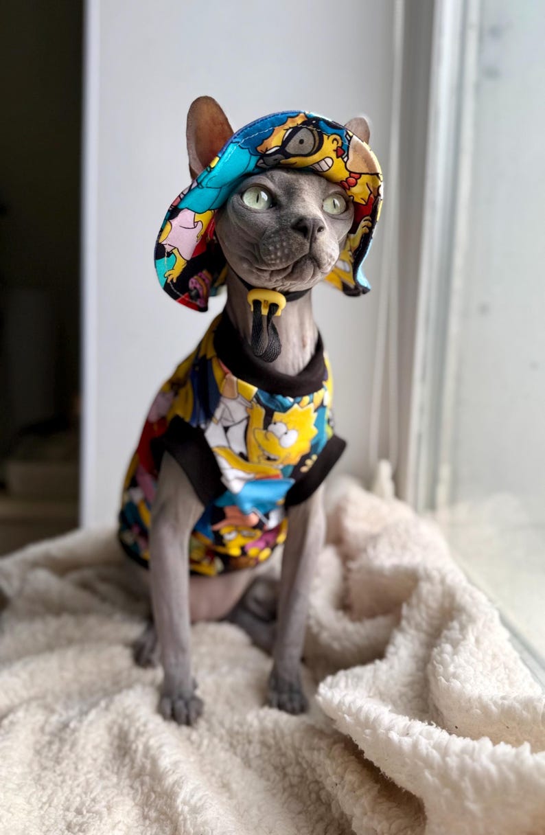 Sphynx Clothes, Pet Clothing, Cat Clothes - Etsy Canada