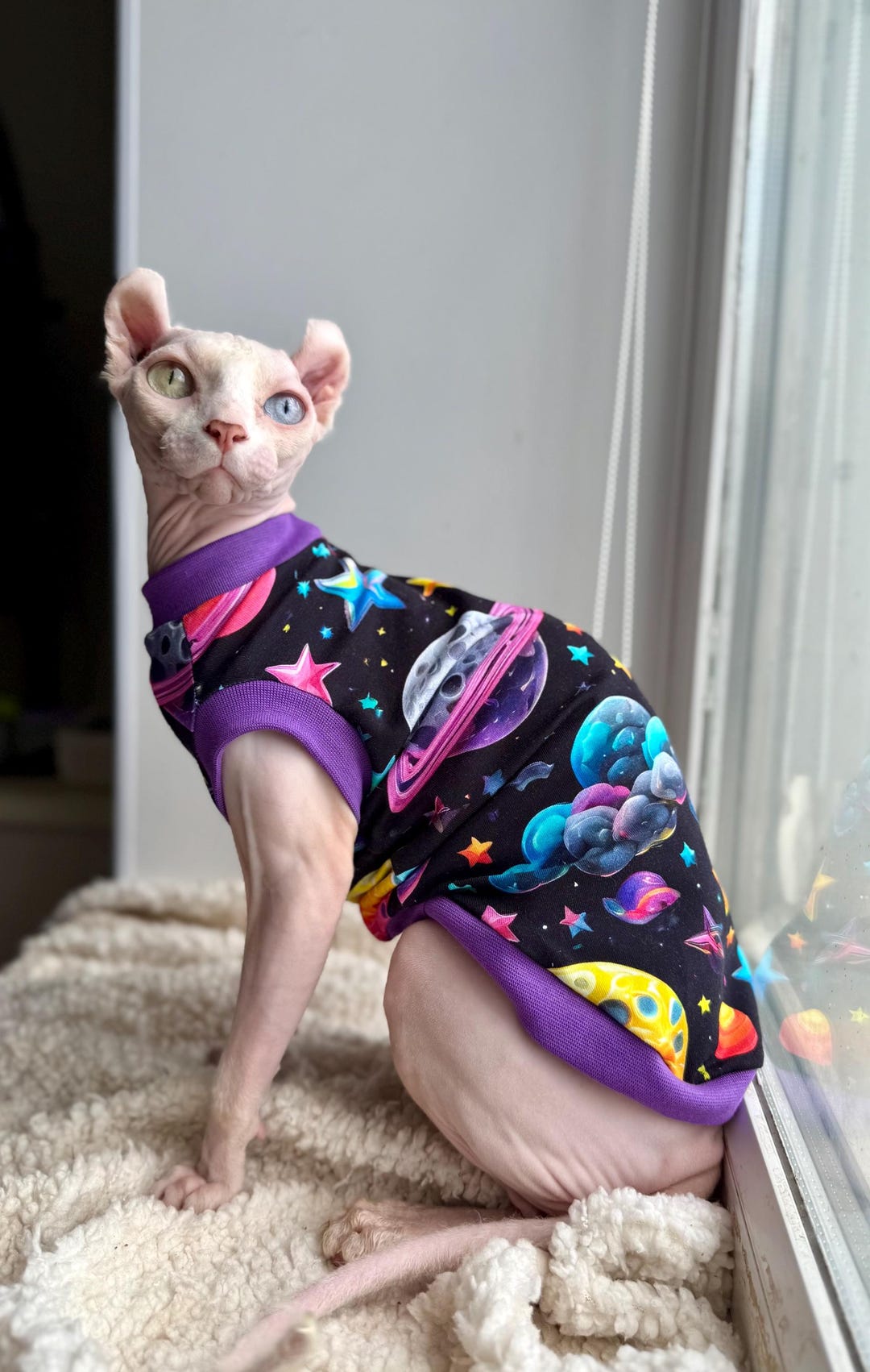 Sphynx Clothes, Pet Clothing, Cat Clothes - Etsy