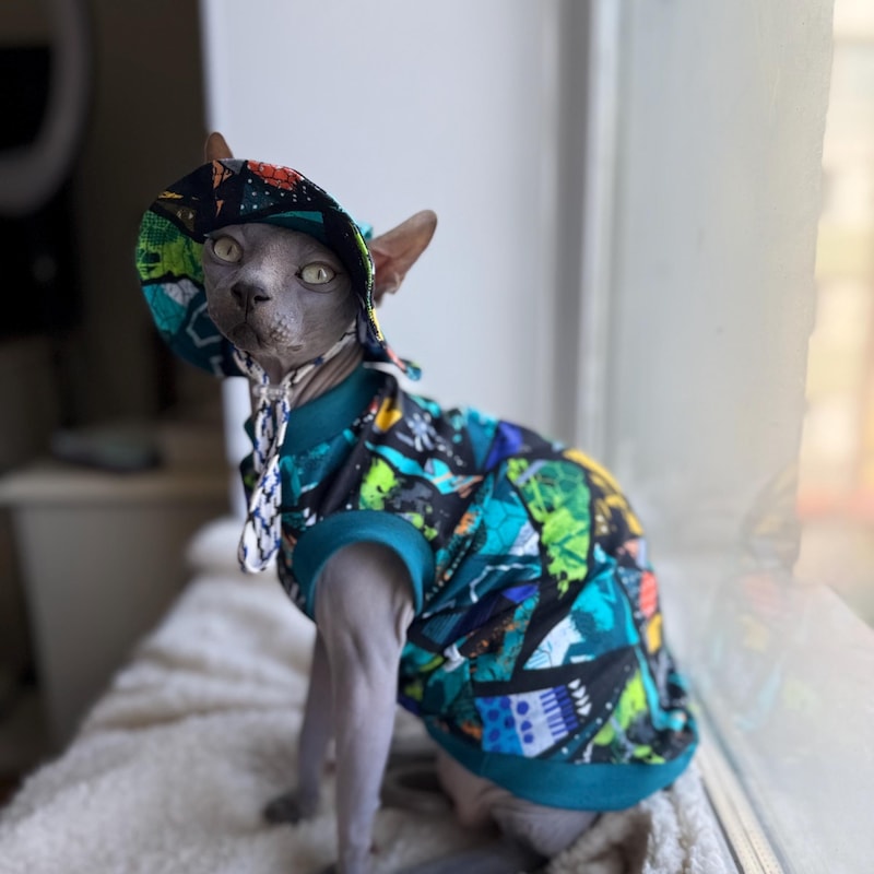 Boy Sphynx Cat Clothes - Etsy