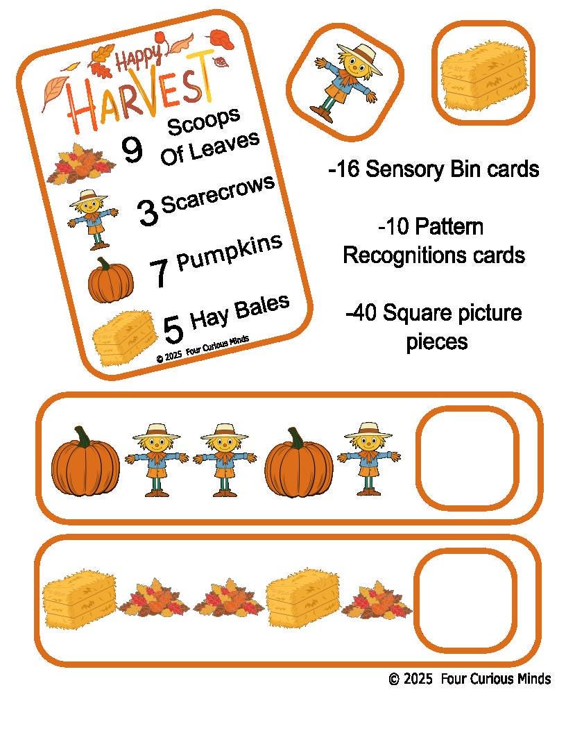 Fall Harvest Sensory Bin Activity | Preschool Learning Cards (digital ...