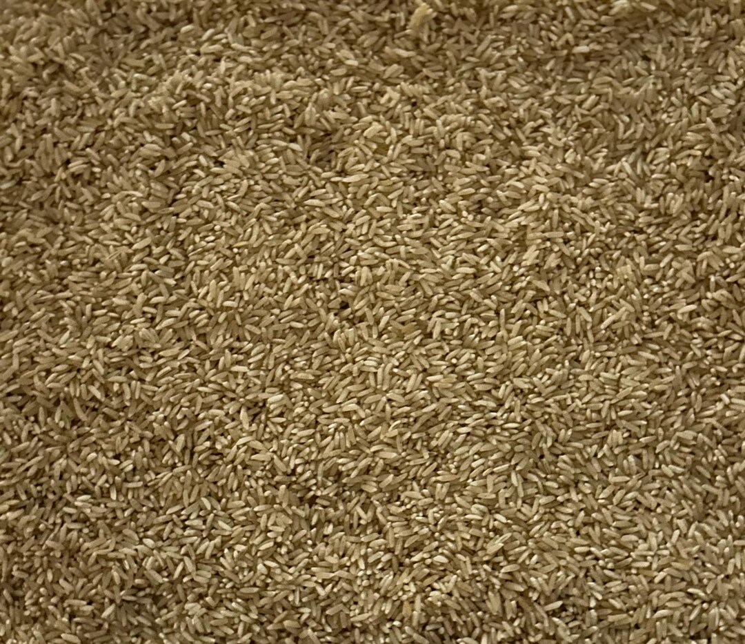 Colored Rice - Ivory - Etsy