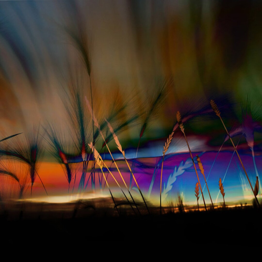 Abstract Nature Wall Art Canvas Gallery Wrap Fine Art Print by FRANKLIN ...