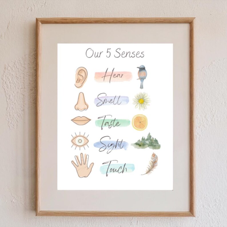 Five Senses Poster, Educational Classroom Decor, Watercolor Classroom ...