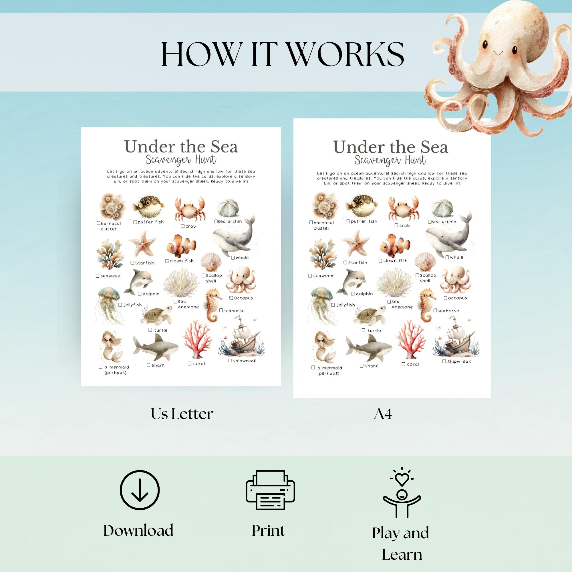 Under the Sea Scavenger Hunt, Ocean Animal Sensory Bin Activity ...