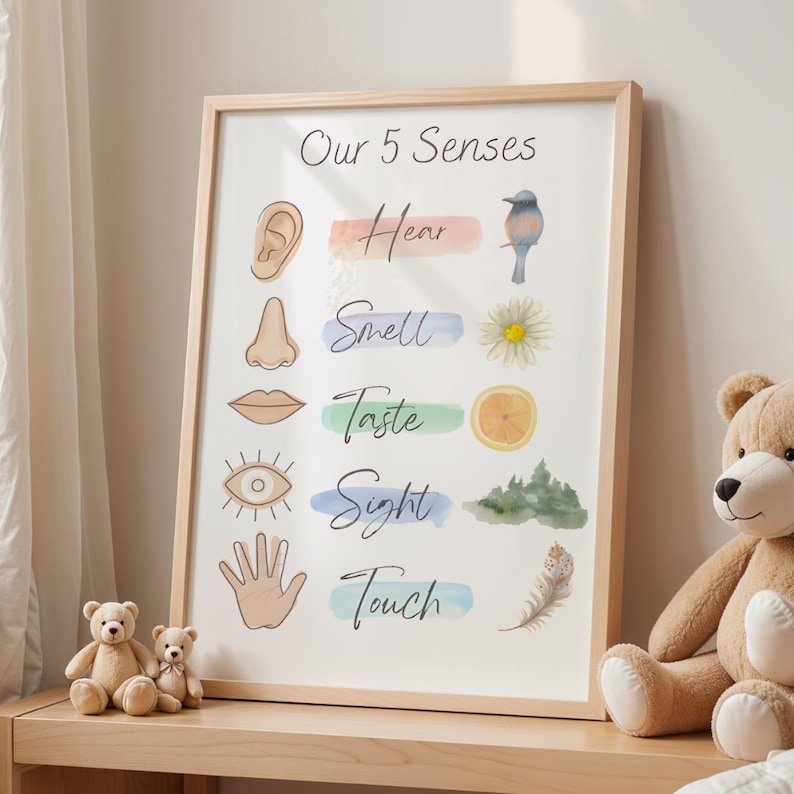 Five Senses Poster, Educational Classroom Decor, Watercolor Classroom ...