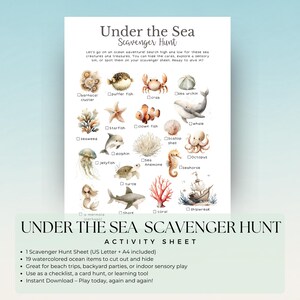 Under the Sea Scavenger Hunt, Ocean Animal Sensory Bin Activity ...