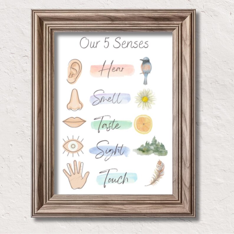 Five Senses Poster, Educational Classroom Decor, Watercolor Classroom ...