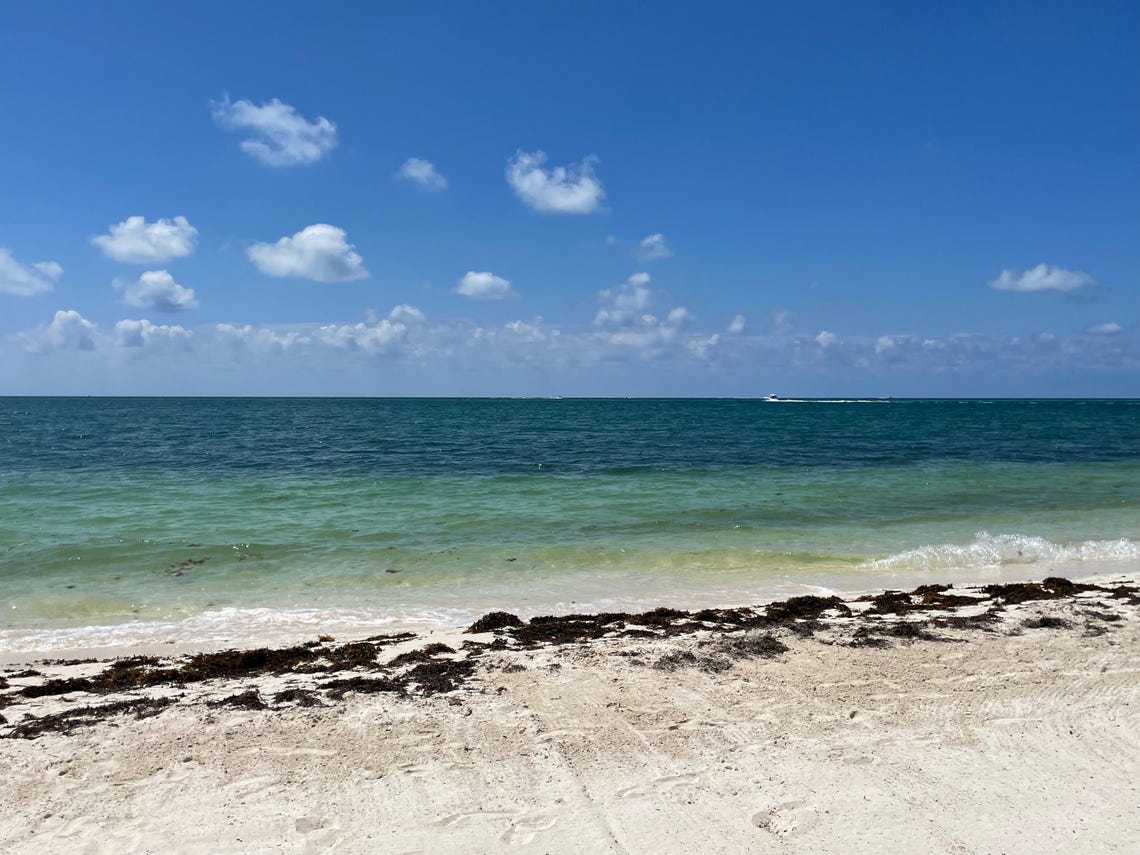 Secluded Private Florida Keys Beach and Ocean - Etsy