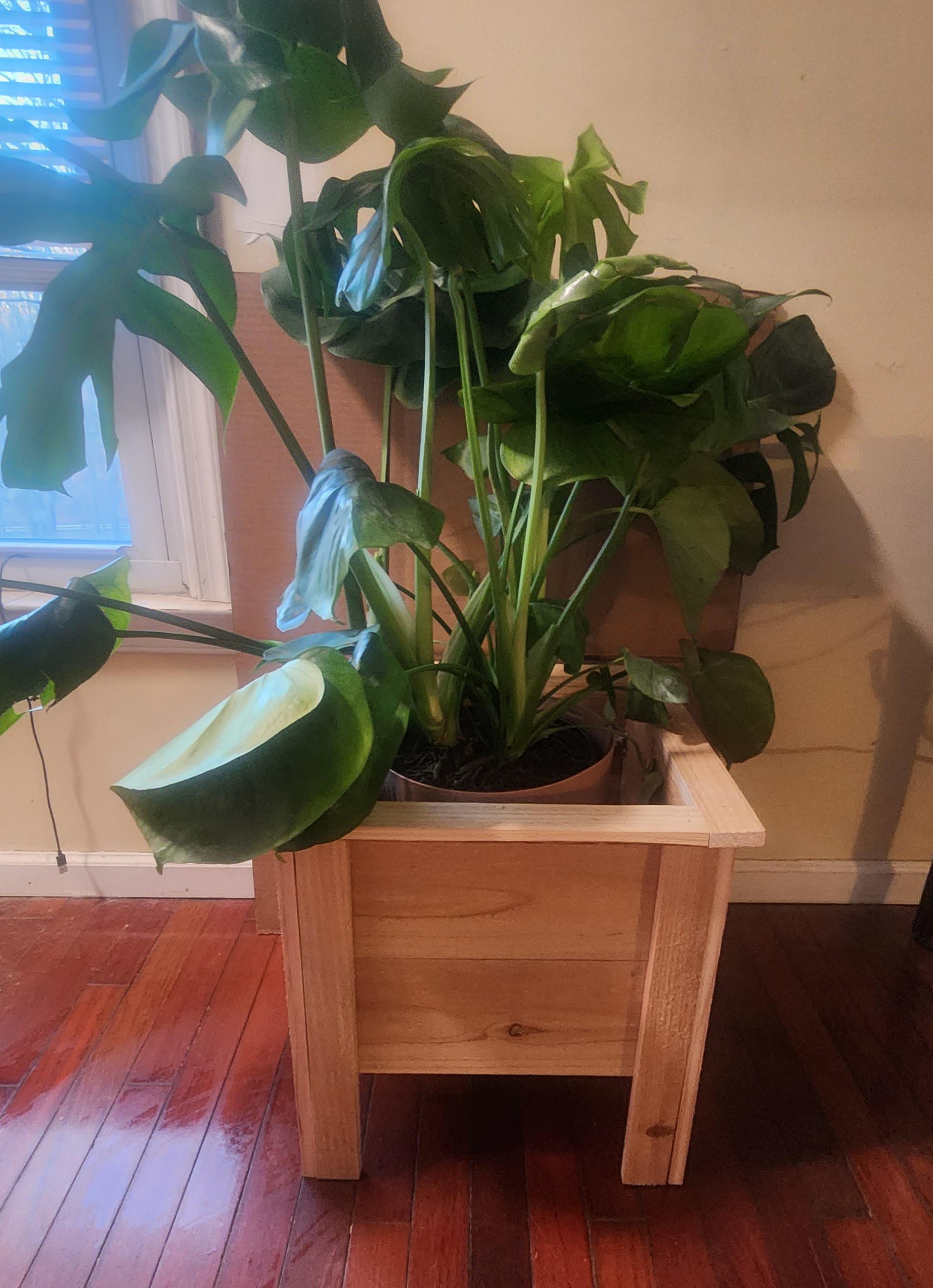 Handcrafted Cedar Planter – Built to Last, Designed to Impress! LARGE ...