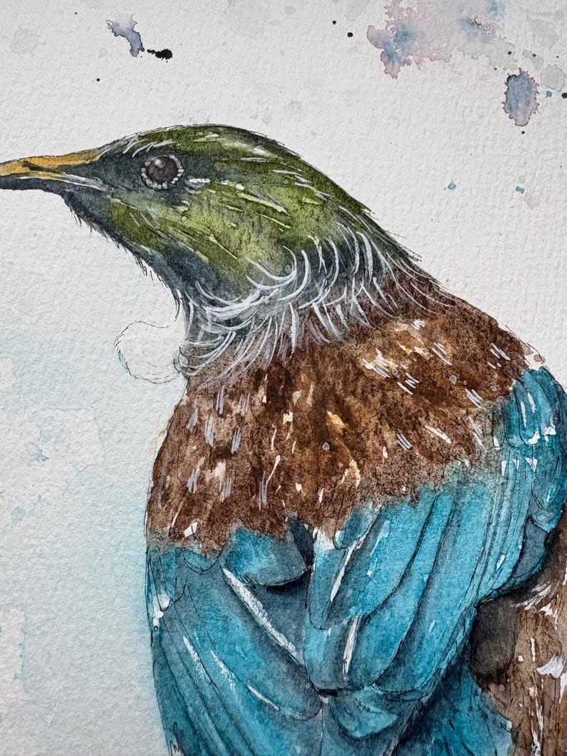 Original Watercolour Tui 3 - Etsy