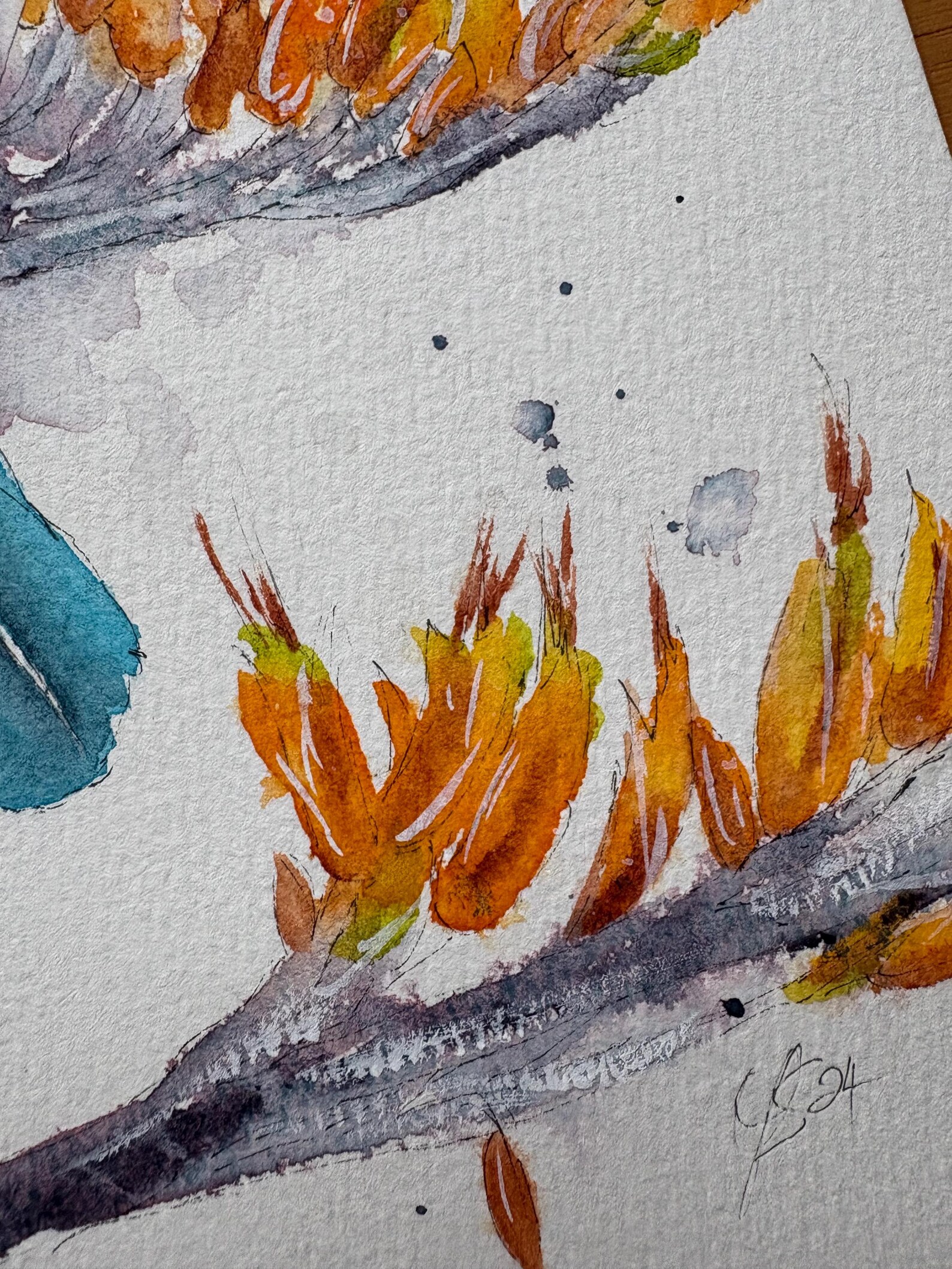 Original Watercolour Tui 3 - Etsy