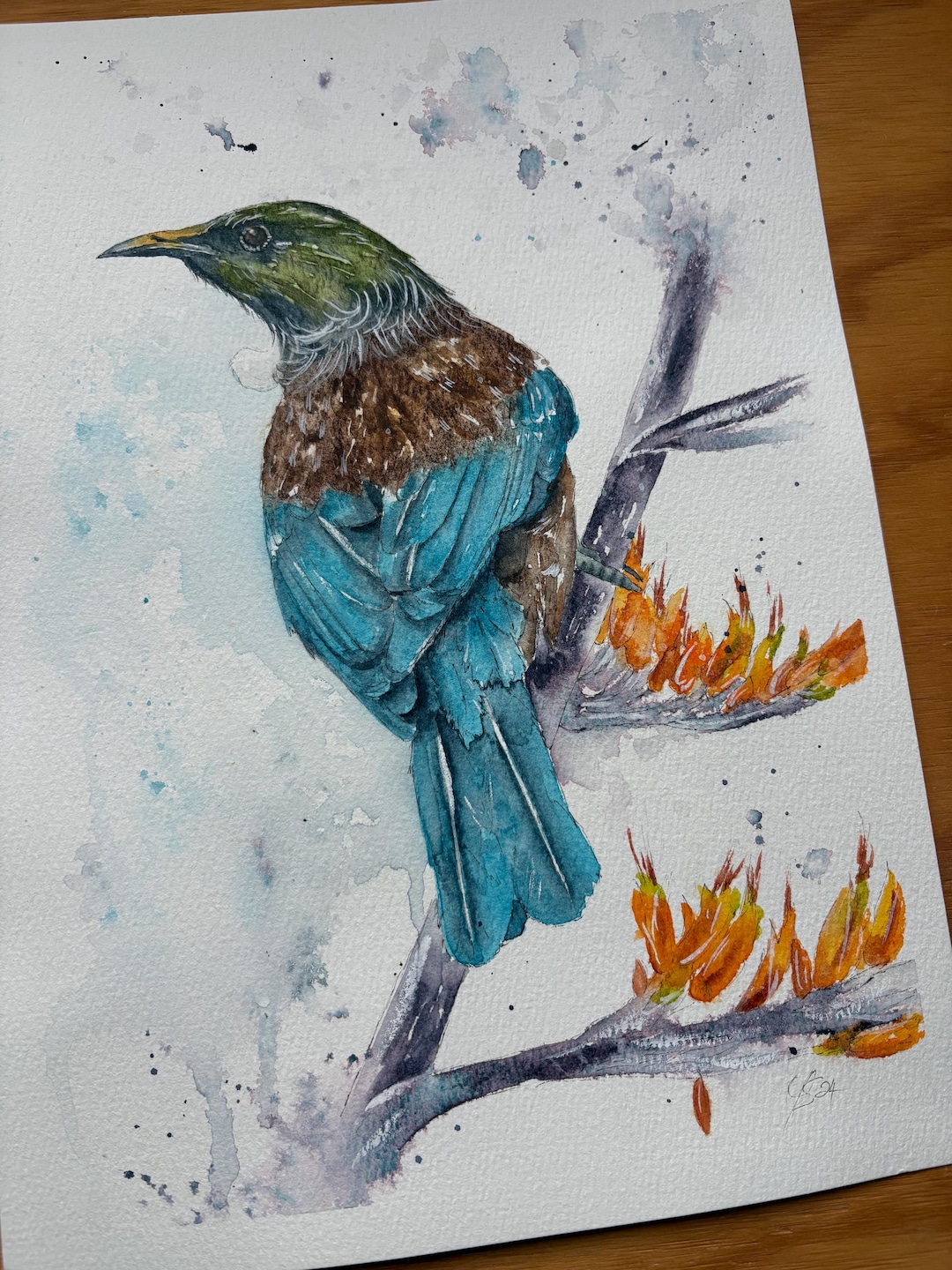 Original Watercolour Tui 3 - Etsy