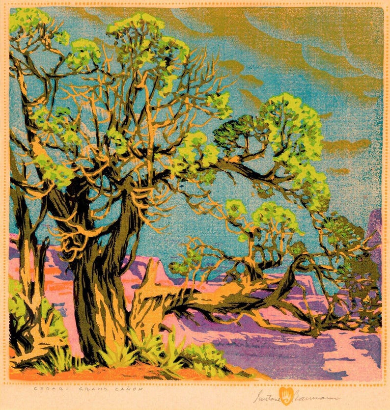Gustave Baumann Cedar Grand Canyon Print: Fine Art Paper - Etsy