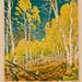 Aspen Thicket by Gustave Baumann - Premium Fine Art Print - Etsy