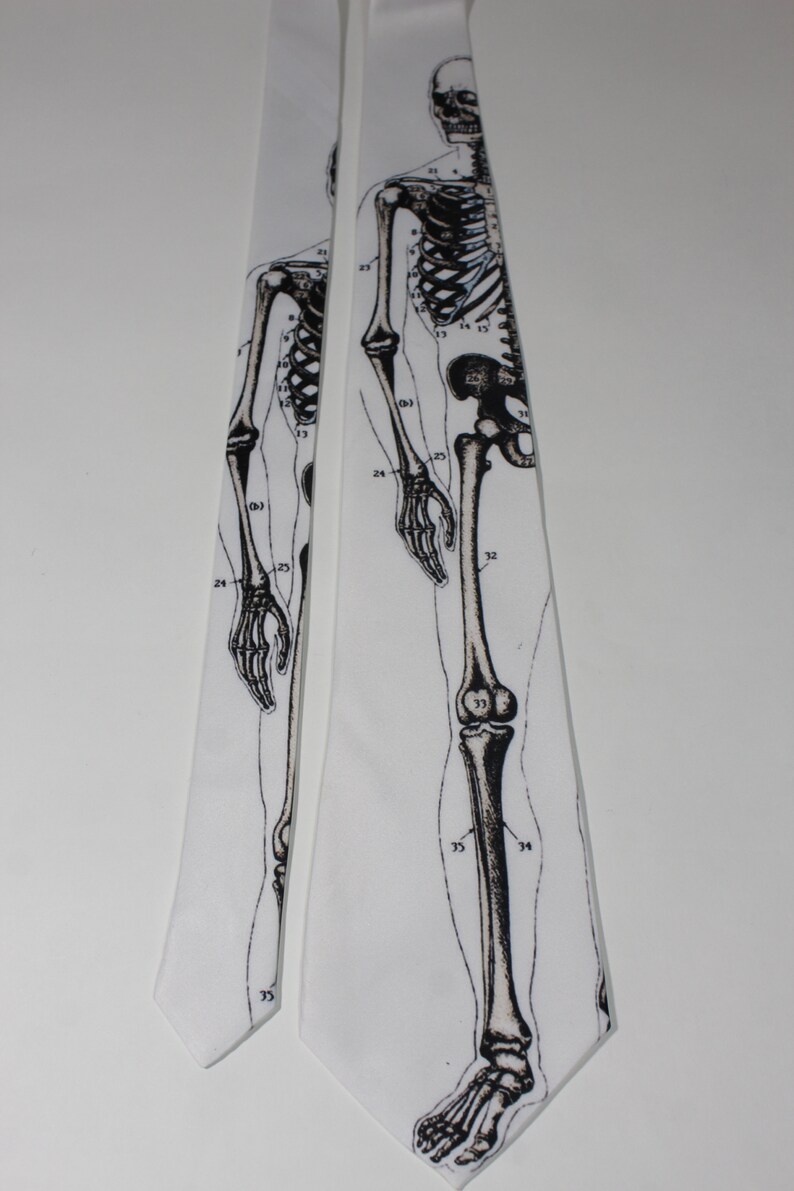 Skeleton Anatomy Tie. Vintage. White Tie With Black Pattern. - Etsy
